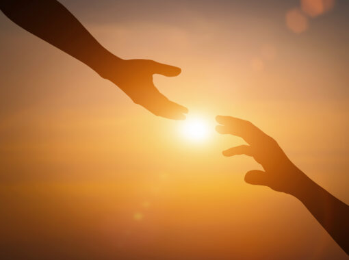 Steven Bauer, M.D. - Top Family Medicine Doctor in Charlotte, NC